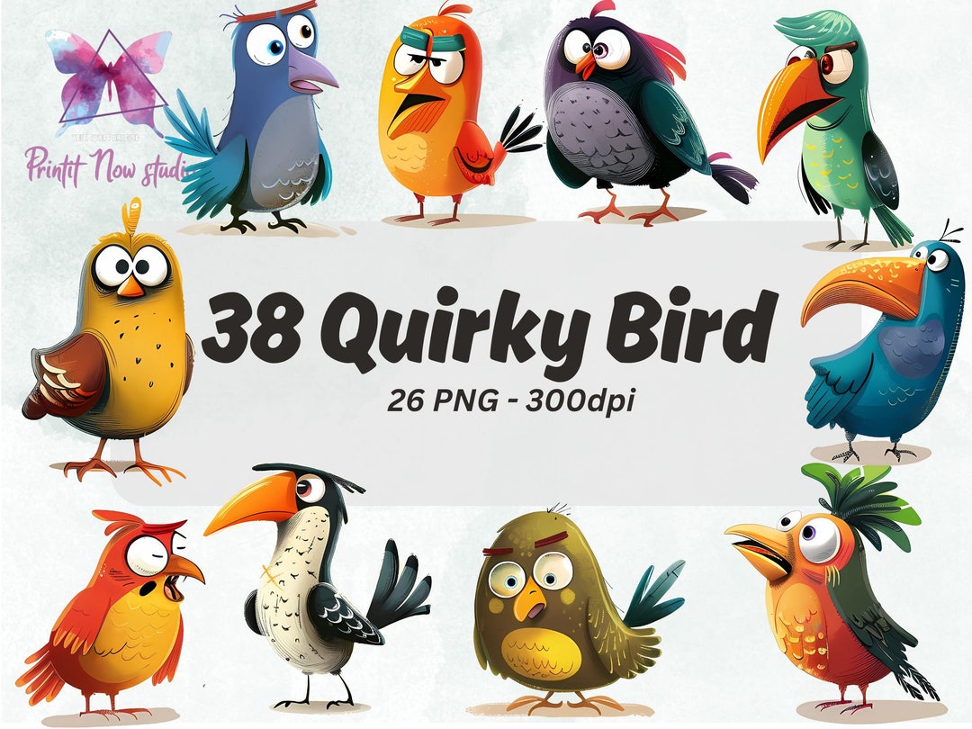 38 Cute Funny Bird Clipart PNG , Whimsical Birds Clipart Bundle, Funny ...