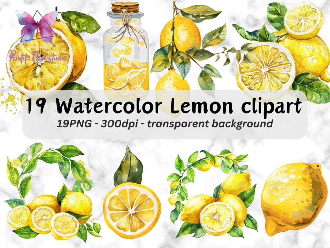 Watercolor Lemon Clipart, Lemon PNG Bundle, Lemon Frame Clipart, Floral ...