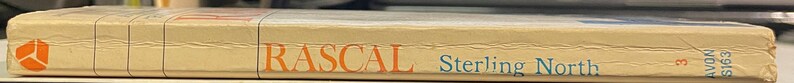 Rascal by Sterling North (1964 1st Avon Pb {S163} John Schoenherr Cover ...