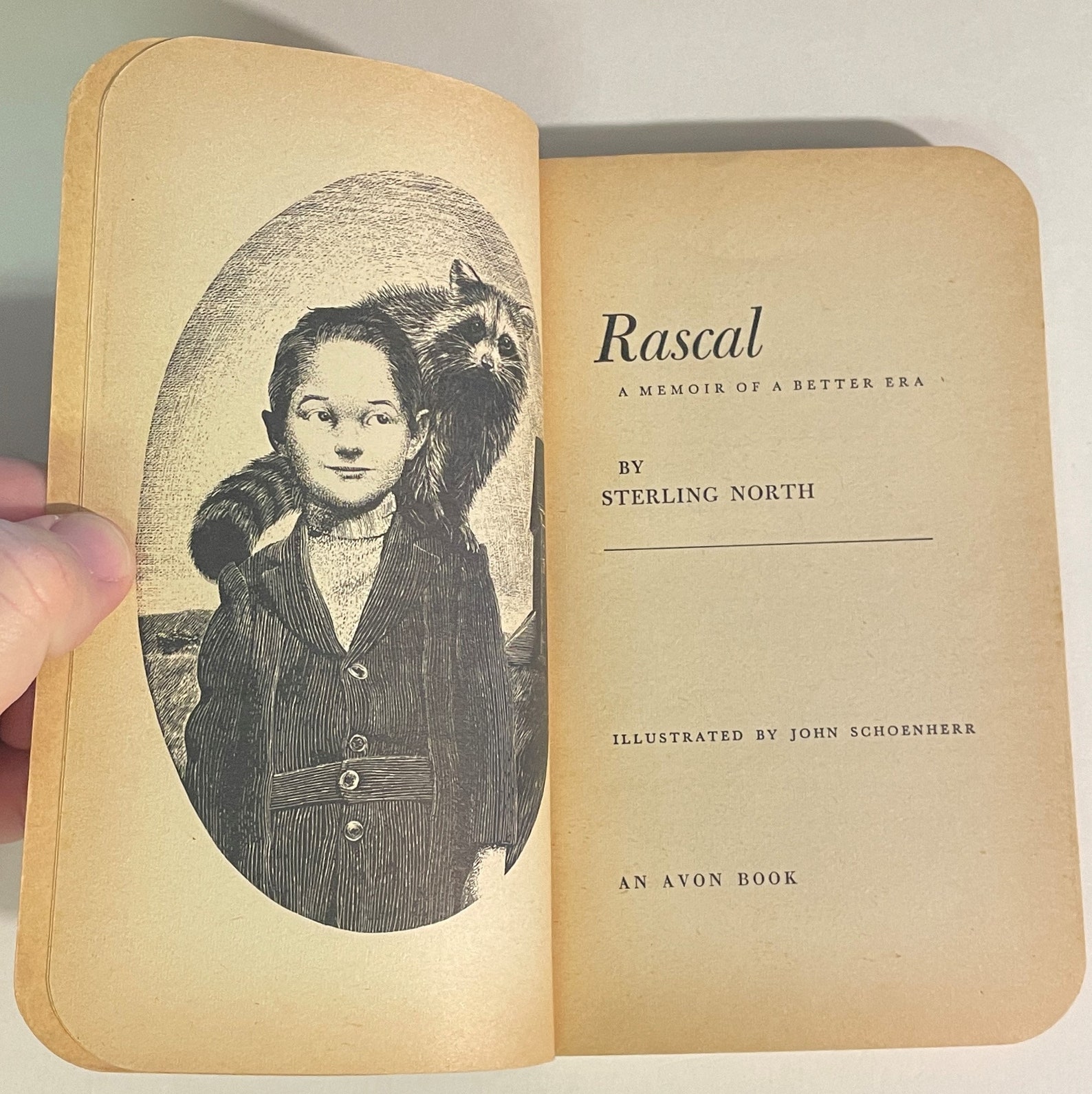Rascal by Sterling North (1964 1st Avon Pb {S163} John Schoenherr Cover ...