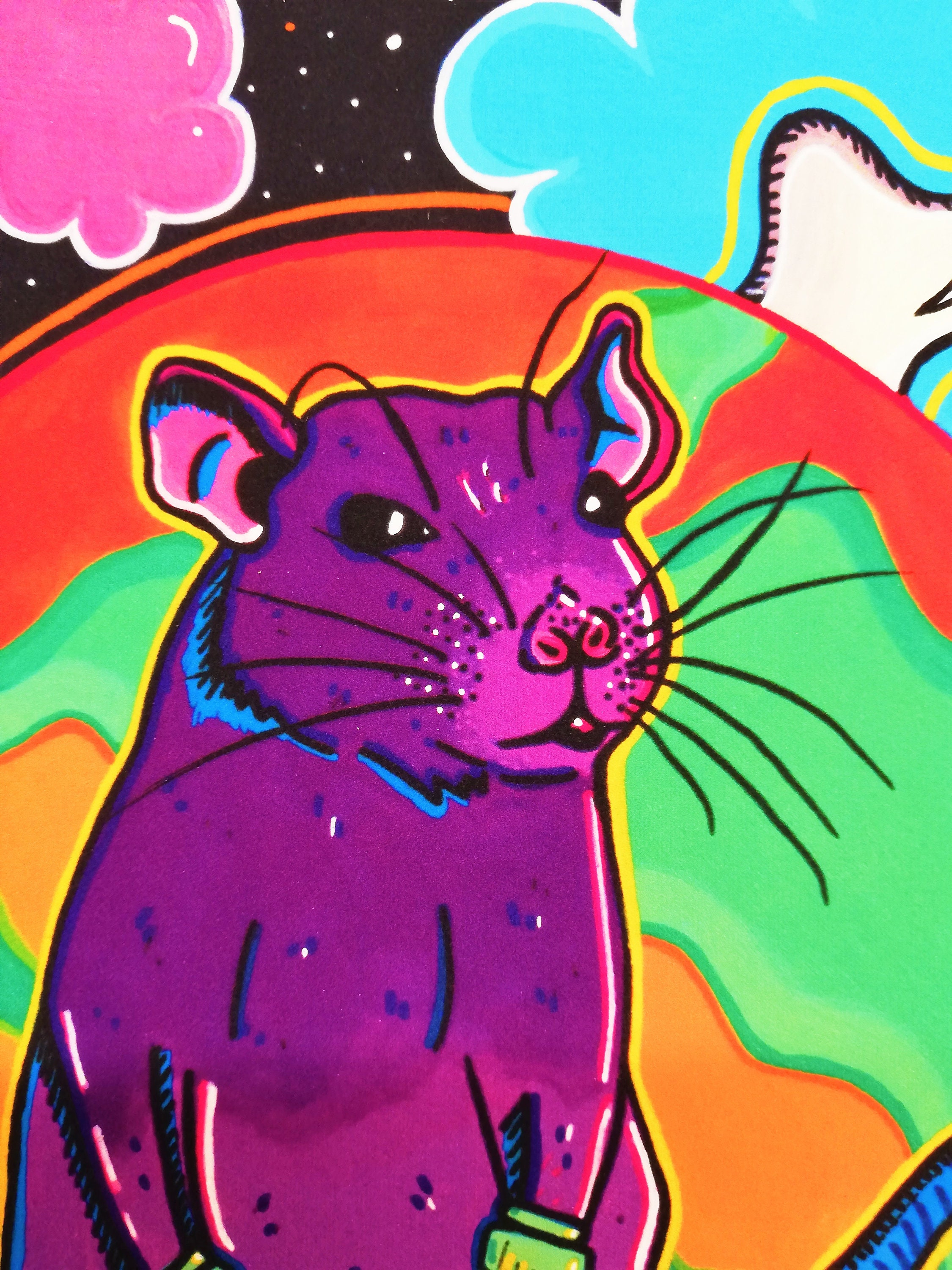 Boxer Rat 'mr Bones' A4/A5 Matte Art Print Rat Owner - Etsy