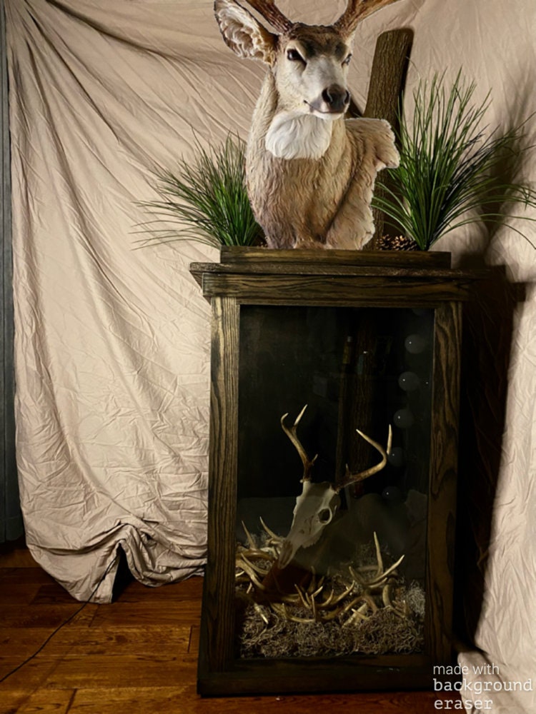 Pedestal Deer Mount - Etsy