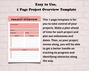 Digital Project Overview Template - Etsy