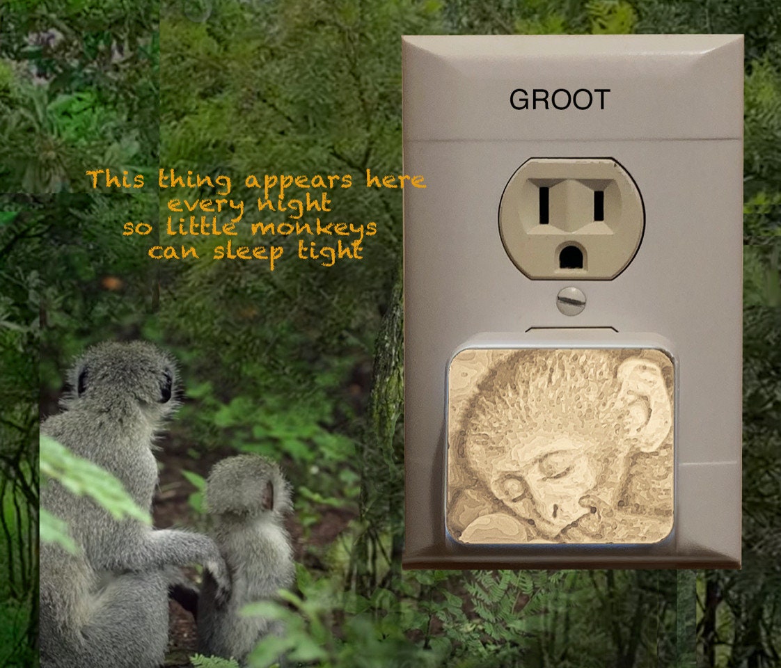 LED Nightlight With a Lithophane Picture of an Adorable Vervet Monkey ...