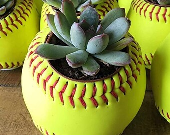 Softball Planter / Softball Decor / Softball Gift / Baseball Decor ...