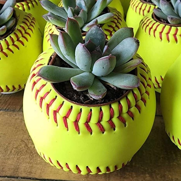 Softball Centerpiece - Etsy