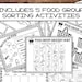 5 Food Group Posters & 7 Activities, Healthy Eating and Nutrition ...