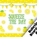 Squeeze the Day, Easy Bulletin Board Kits, Printable Bulletin Board Kit ...