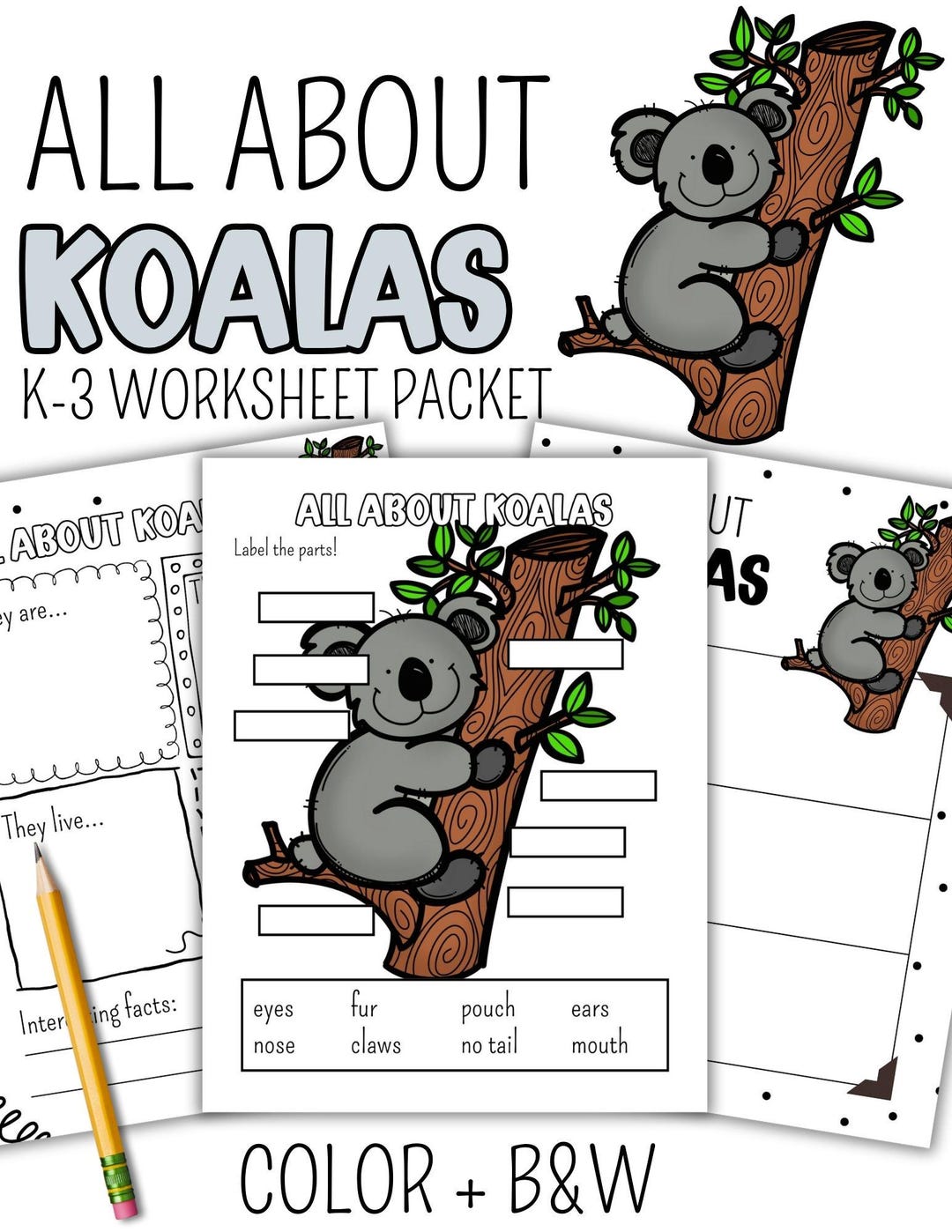 All About Koalas | Animal Research Worksheets & Labeling | Life Science ...