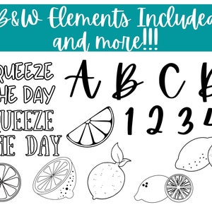 Squeeze the Day, Easy Bulletin Board Kits, Printable Bulletin Board Kit ...