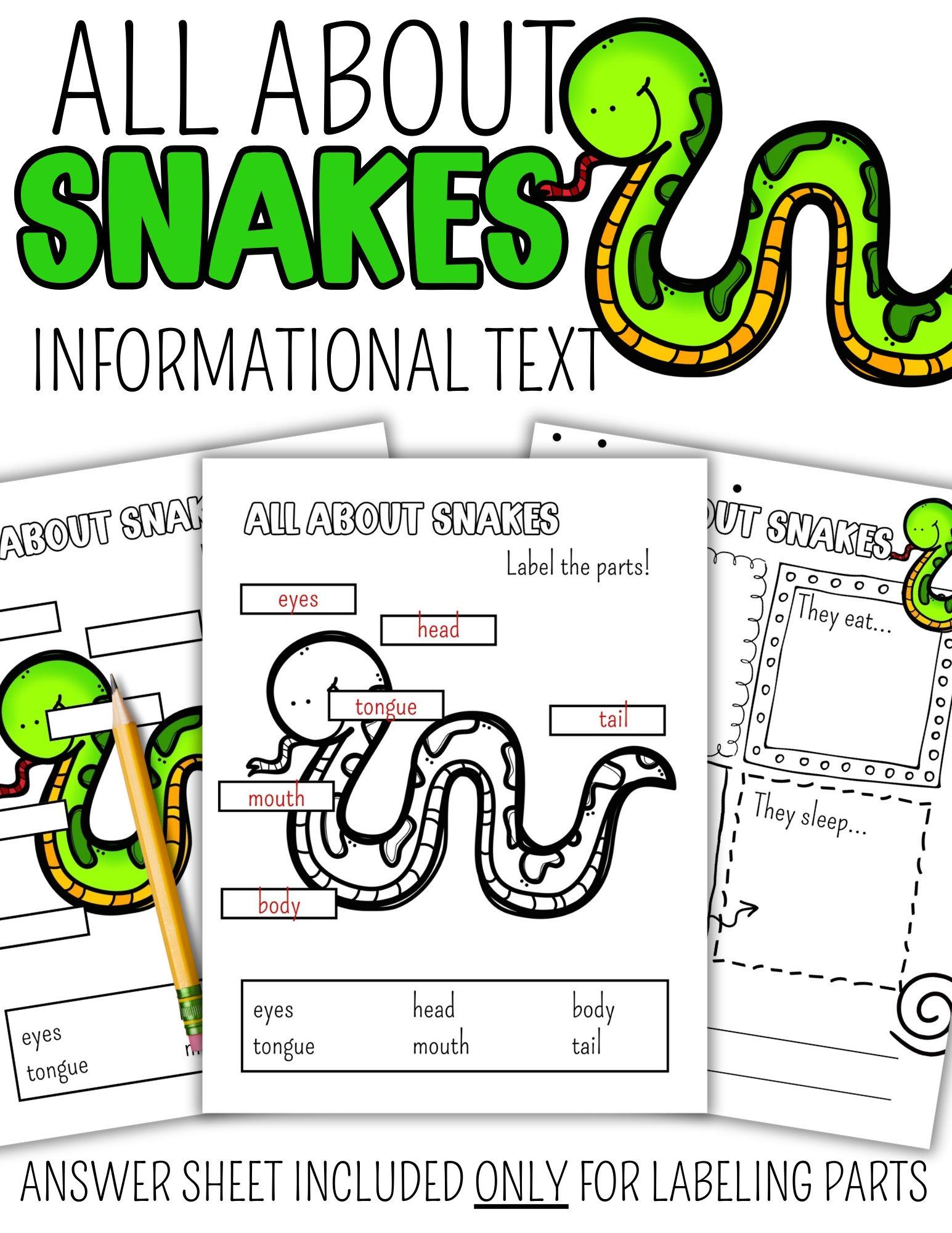 All About Snakes | Animal Research Worksheets & Labeling | Life Science ...