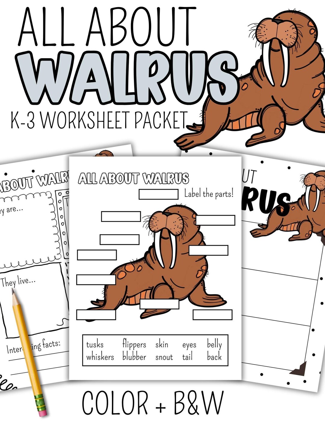 All About Walrus | Animal Research Worksheets & Labeling | Life Science ...