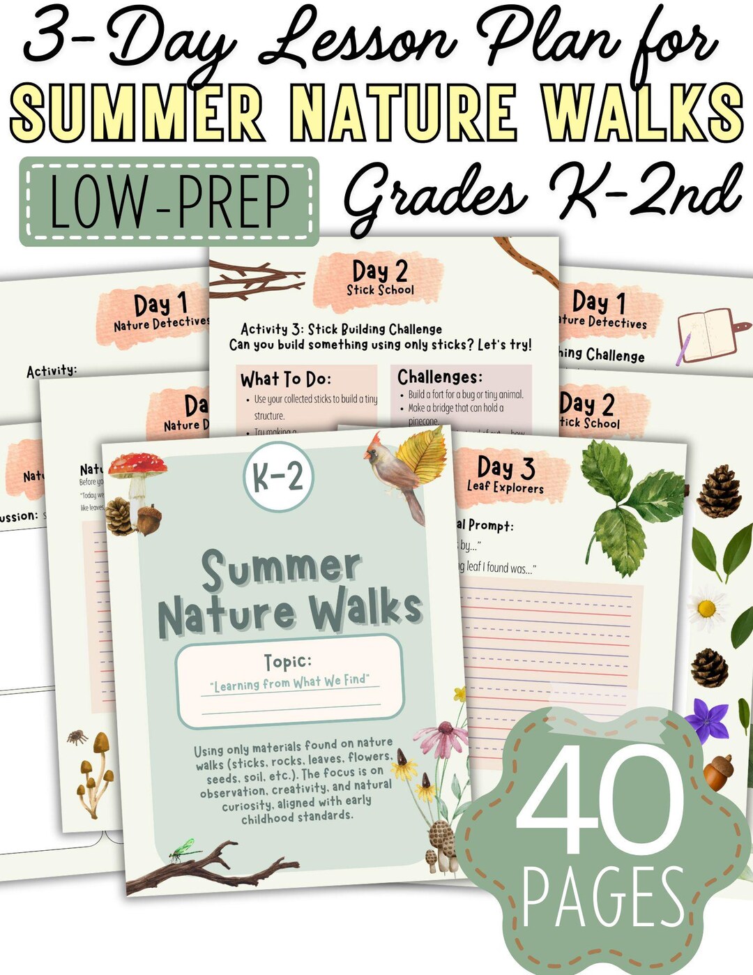 Nature Walk Lesson Plan: K-2 Outdoor Learning Activities (PDF Download ...