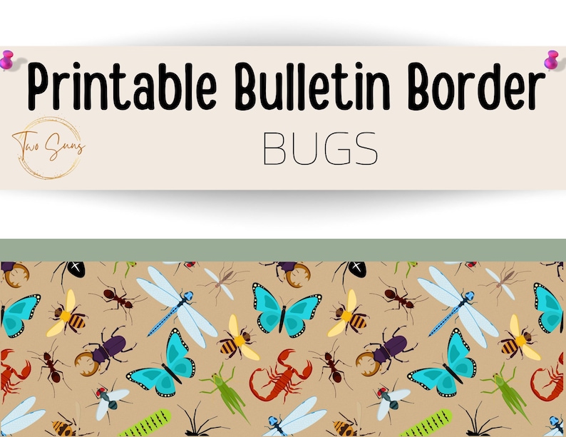 Bugs Theme Bulletin Border, Bulletin Board Border, Printable Classroom ...