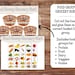 5 Food Group Posters & 7 Activities, Healthy Eating and Nutrition - Etsy