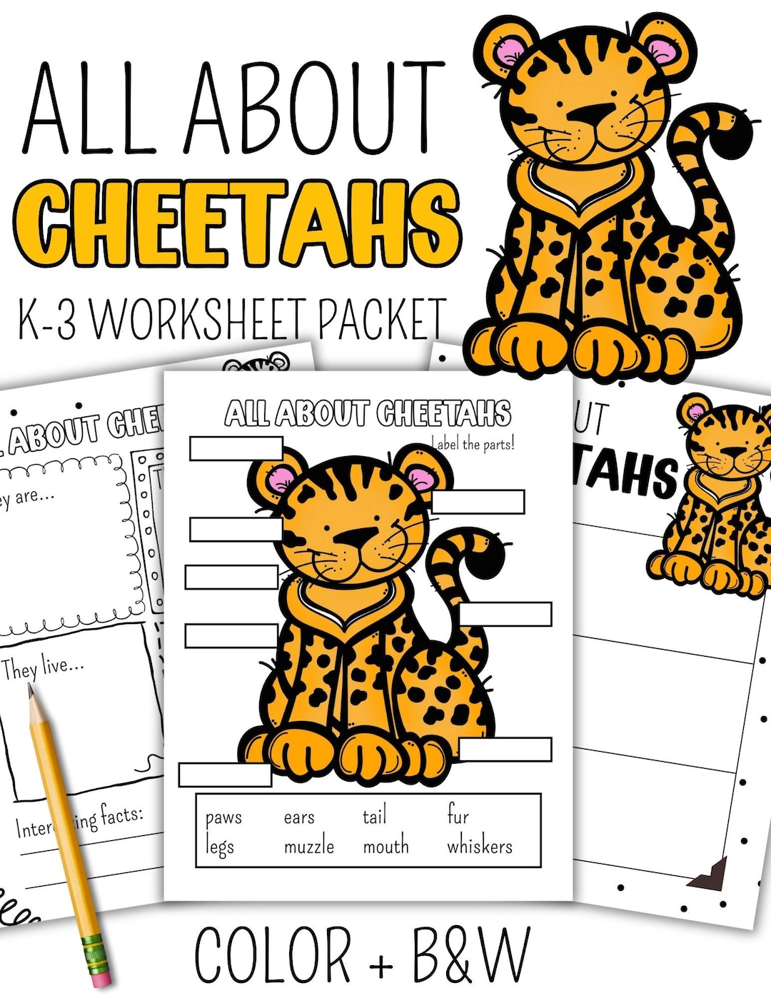 All About Cheetahs | Animal Research Worksheets & Labeling | Life ...