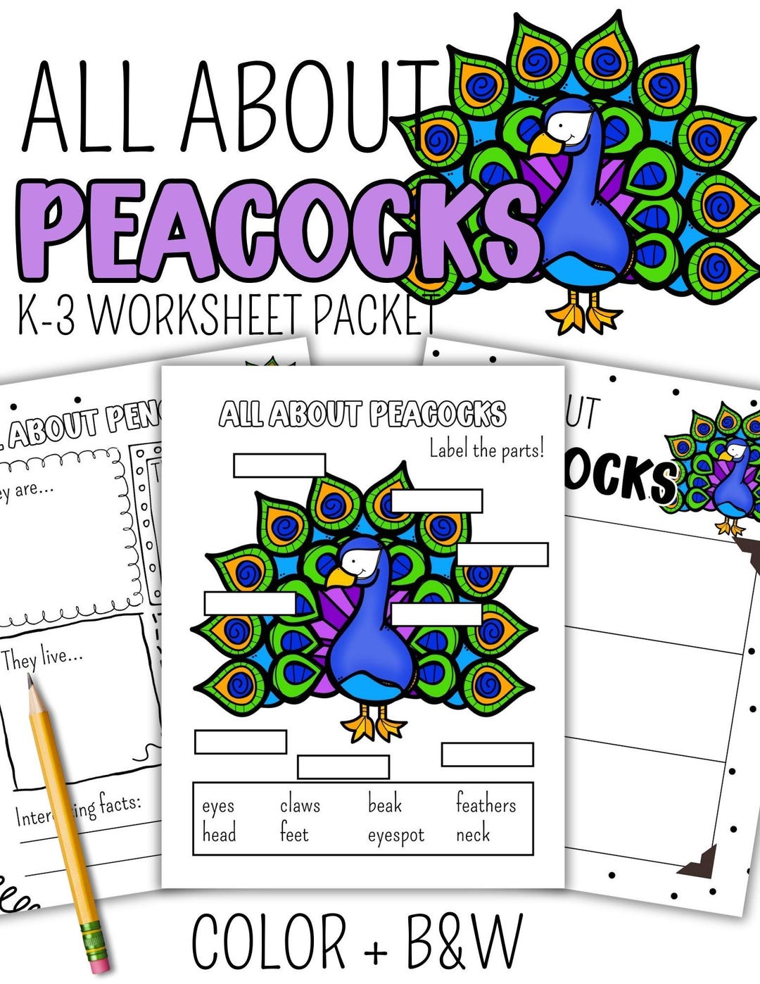All About Peacocks | Animal Research Worksheets & Labeling | Life ...