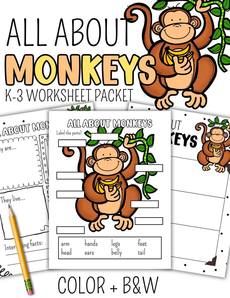 All About Monkeys | Animal Research Worksheets & Labeling | Life ...
