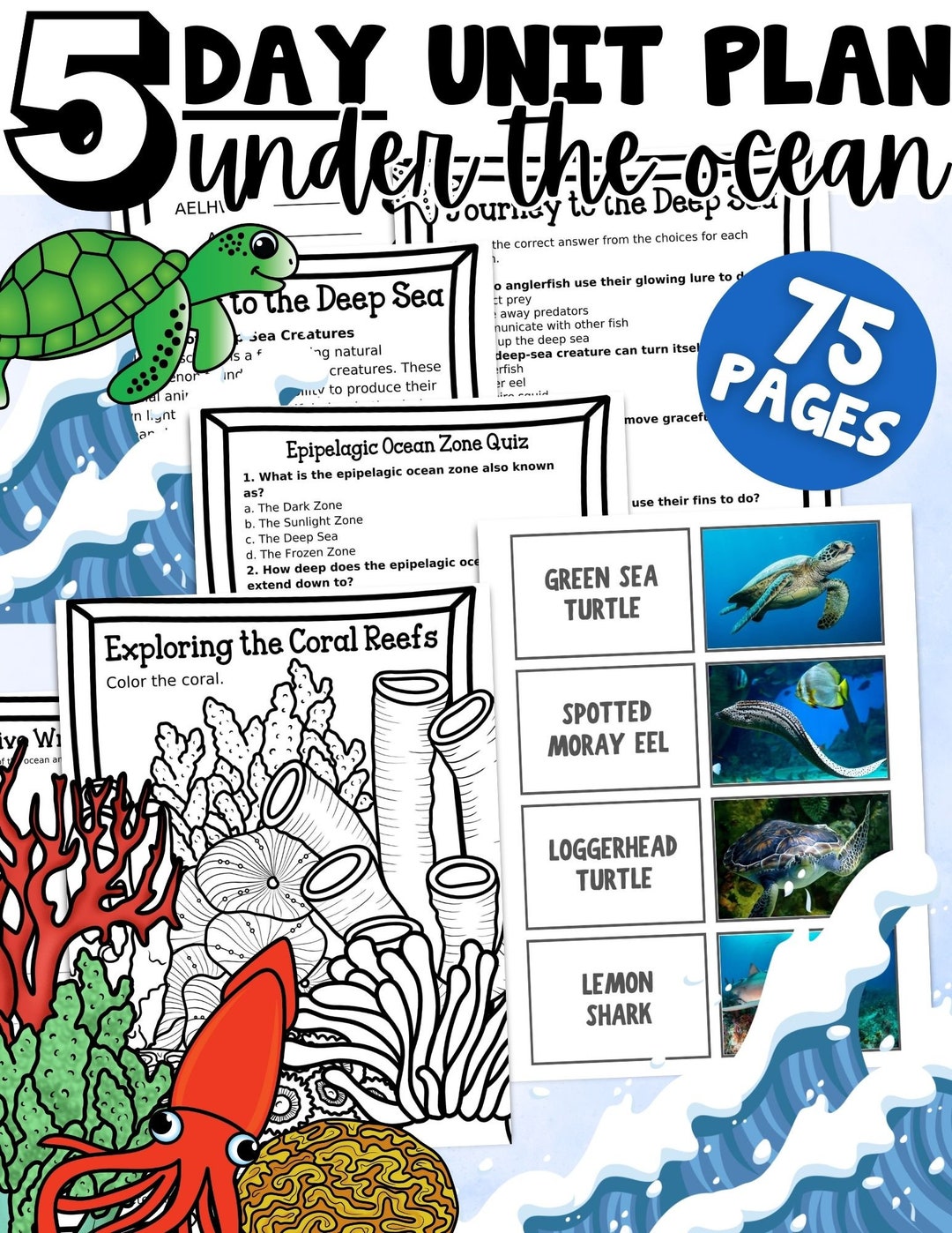 Ocean Study Unit: 5-day Science Curriculum (PDF Download) - Etsy