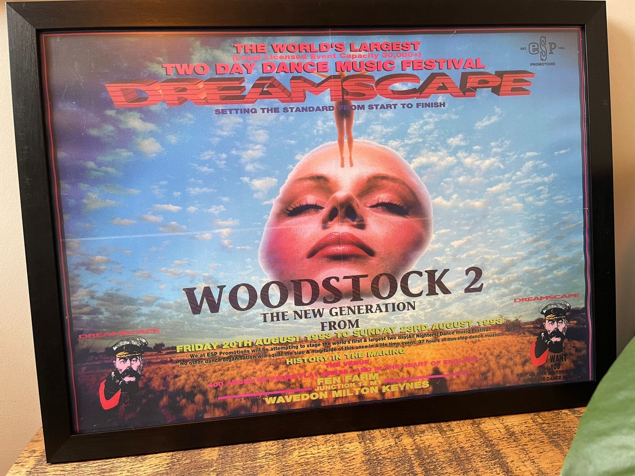 Dreamscape ‘woodstock 2’ Flyer Poster (A2) - Etsy