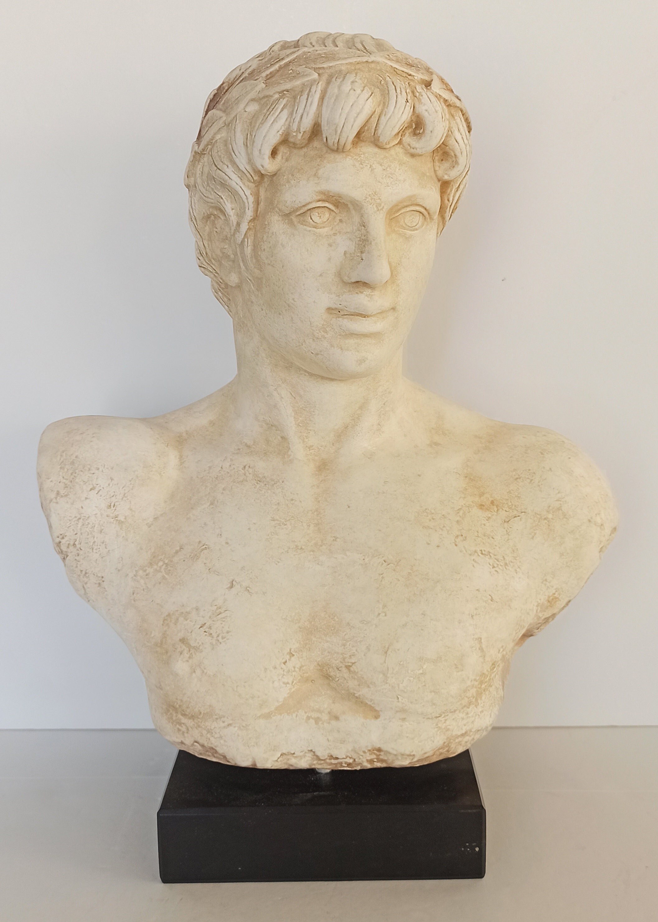Apollo Bust Olympian God of the Sun and Light, Music and Poetry ...