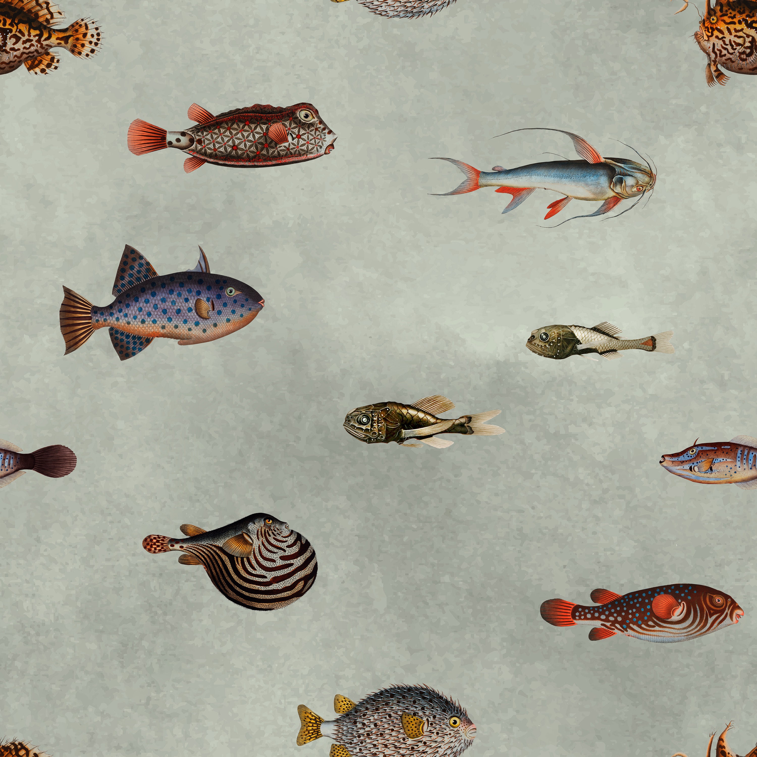 Tropical Fish Wallpaper. Underwater Wall Décor Nautical Wall - Etsy