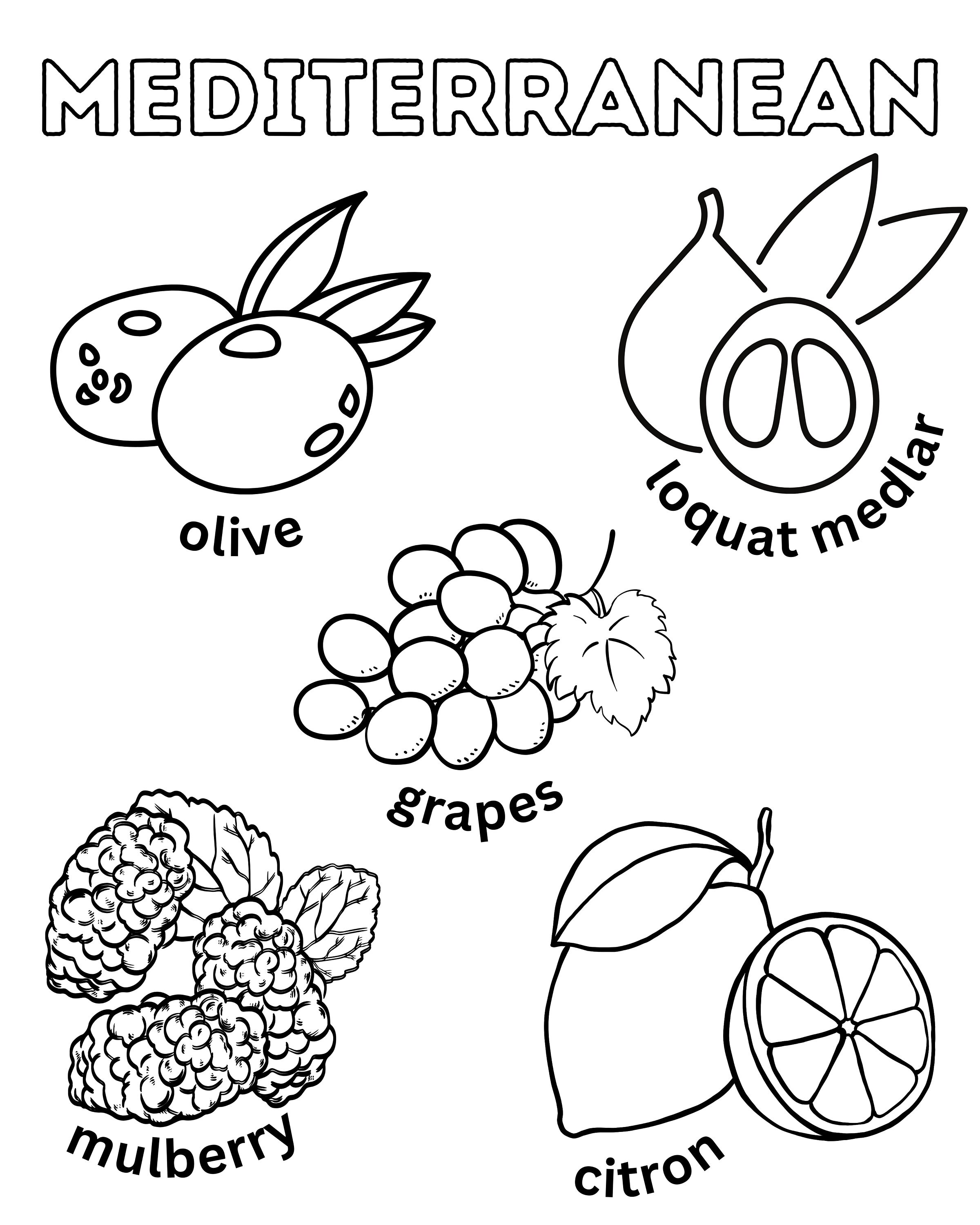 Coloring Book Fruits of the World Coloring Book for Kids - Etsy