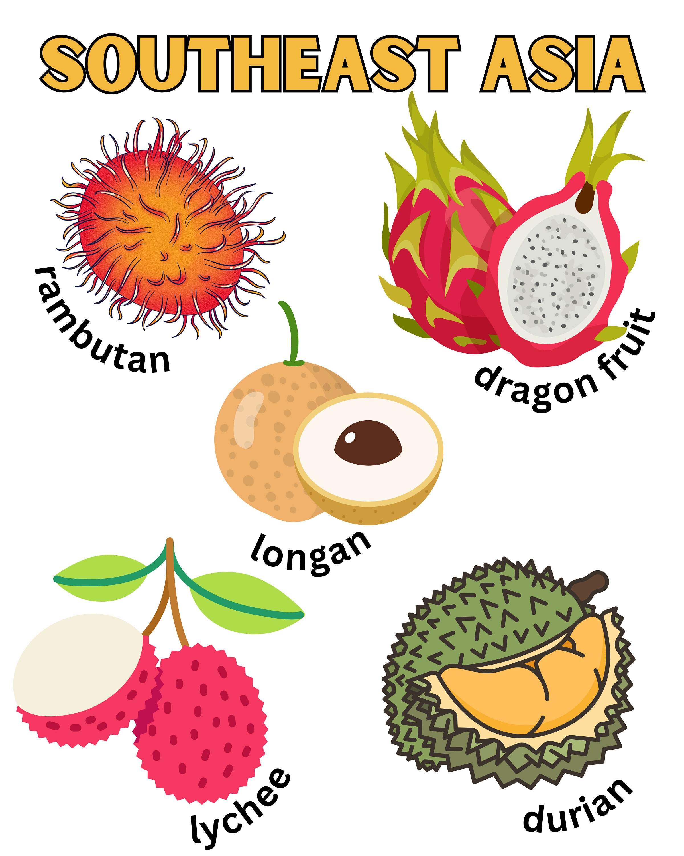 Coloring Book Fruits of the World Coloring Book for Kids - Etsy