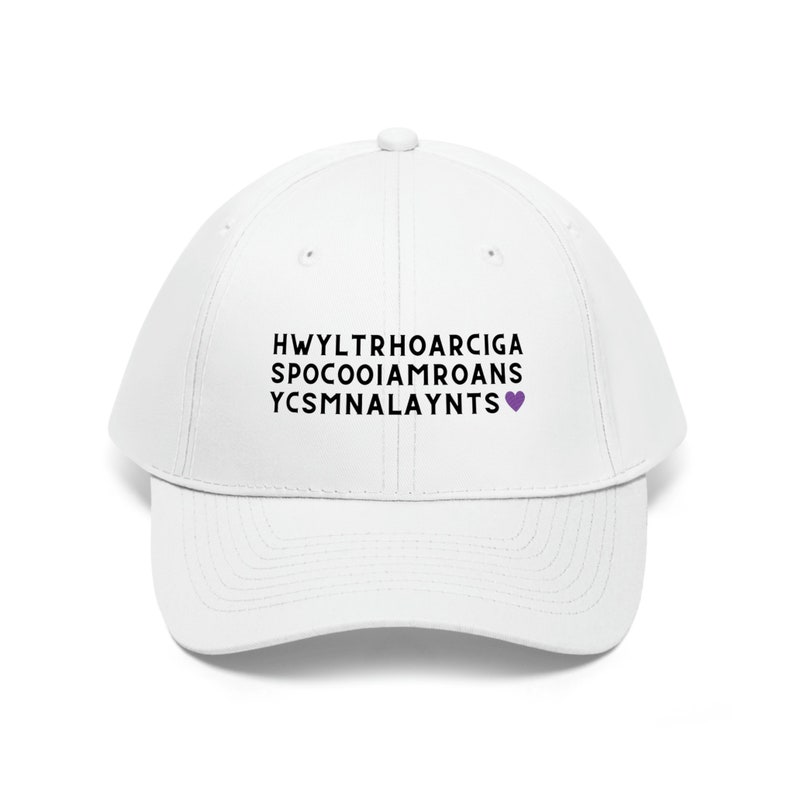 Pedro Pascal Real Cowboy Hat - Etsy