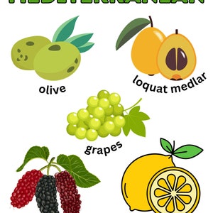 Coloring Book Fruits of the World, Coloring Book for Kids, School ...