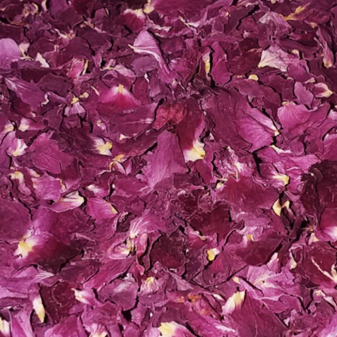 Beach Rose Petals - Rosa Rugosa - Dried Japanese Rose Flowers ...