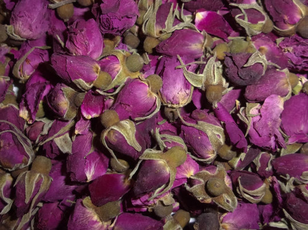 Beach Rose Buds - Rosa Rugosa - Dried Japanese Rose Flowers - Fragrant ...