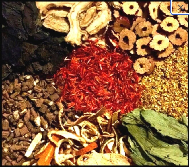 10 Jujube Seeds Ziziphus Jujuba Chinese Red Date TCM Herb Da Zao Edible ...