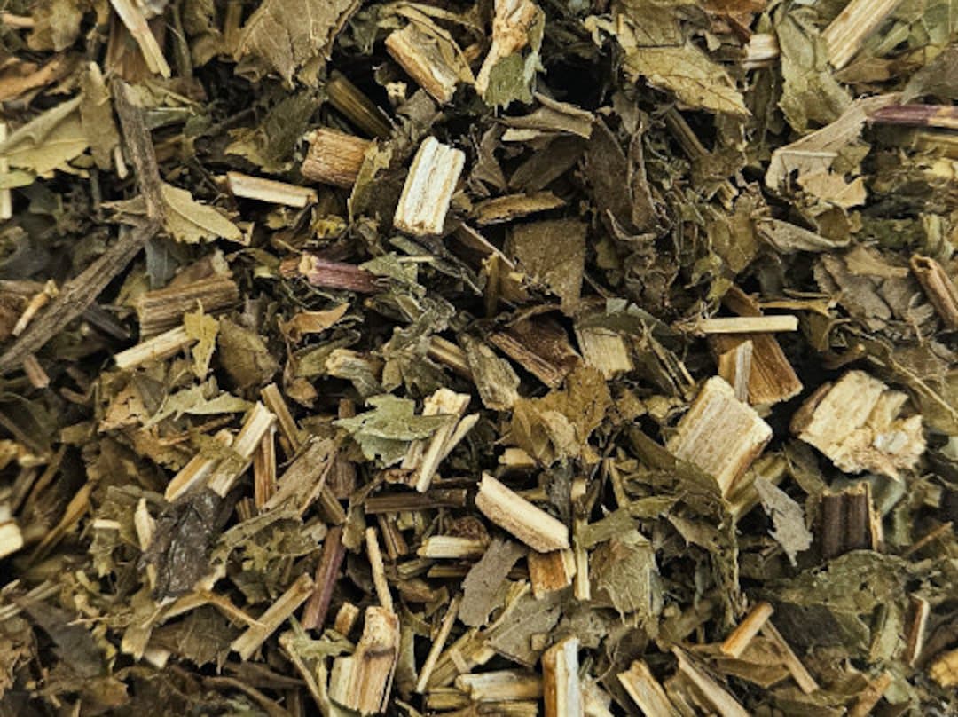 Bugleweed Lycopus Virginicus Dried Herb Leaves C/S Virginia Water ...