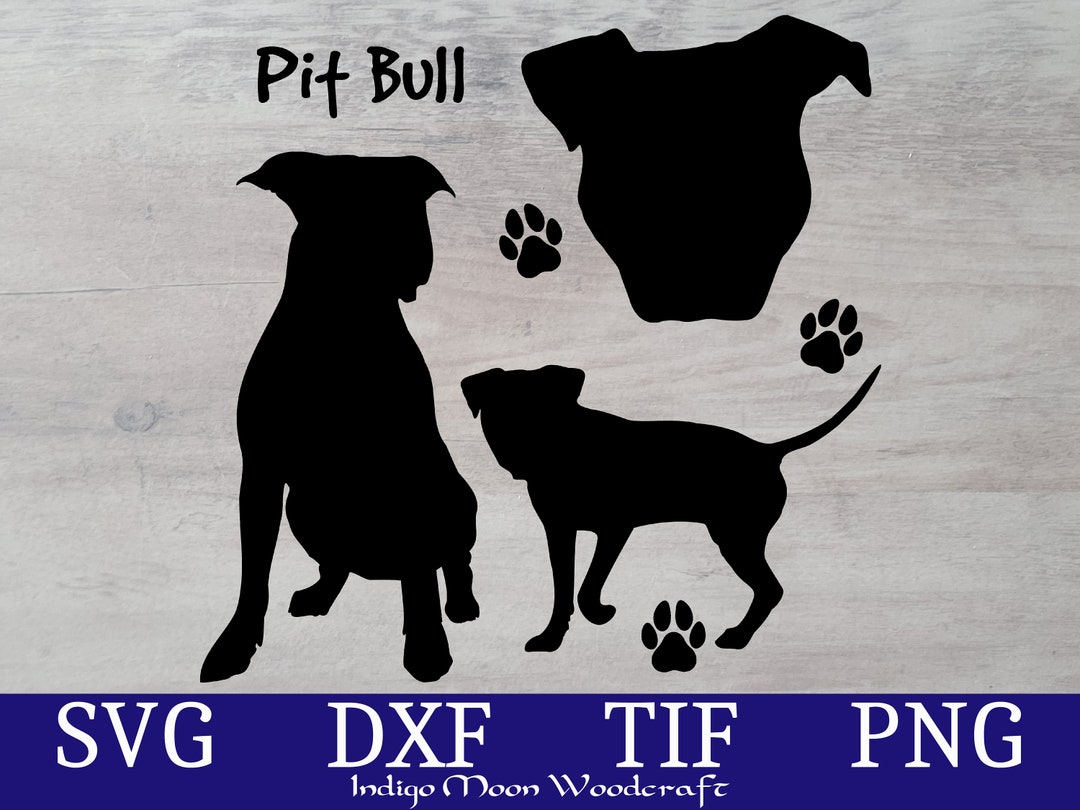 Pit Bull Silhouette SVG - American Pit Bull Terrier Cut File - Svg Png ...