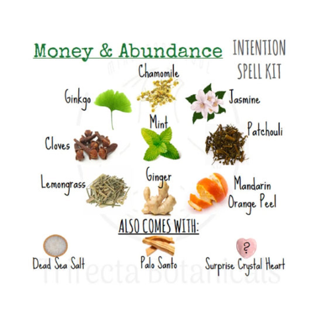 MONEY & ABUNDANCE Intention Spell Kit New Moon Full Moon Herbs Salt ...