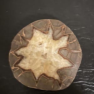 Septarian Nodule Slice Slab Slice Large Dragon Stone Yellow Crystal ...