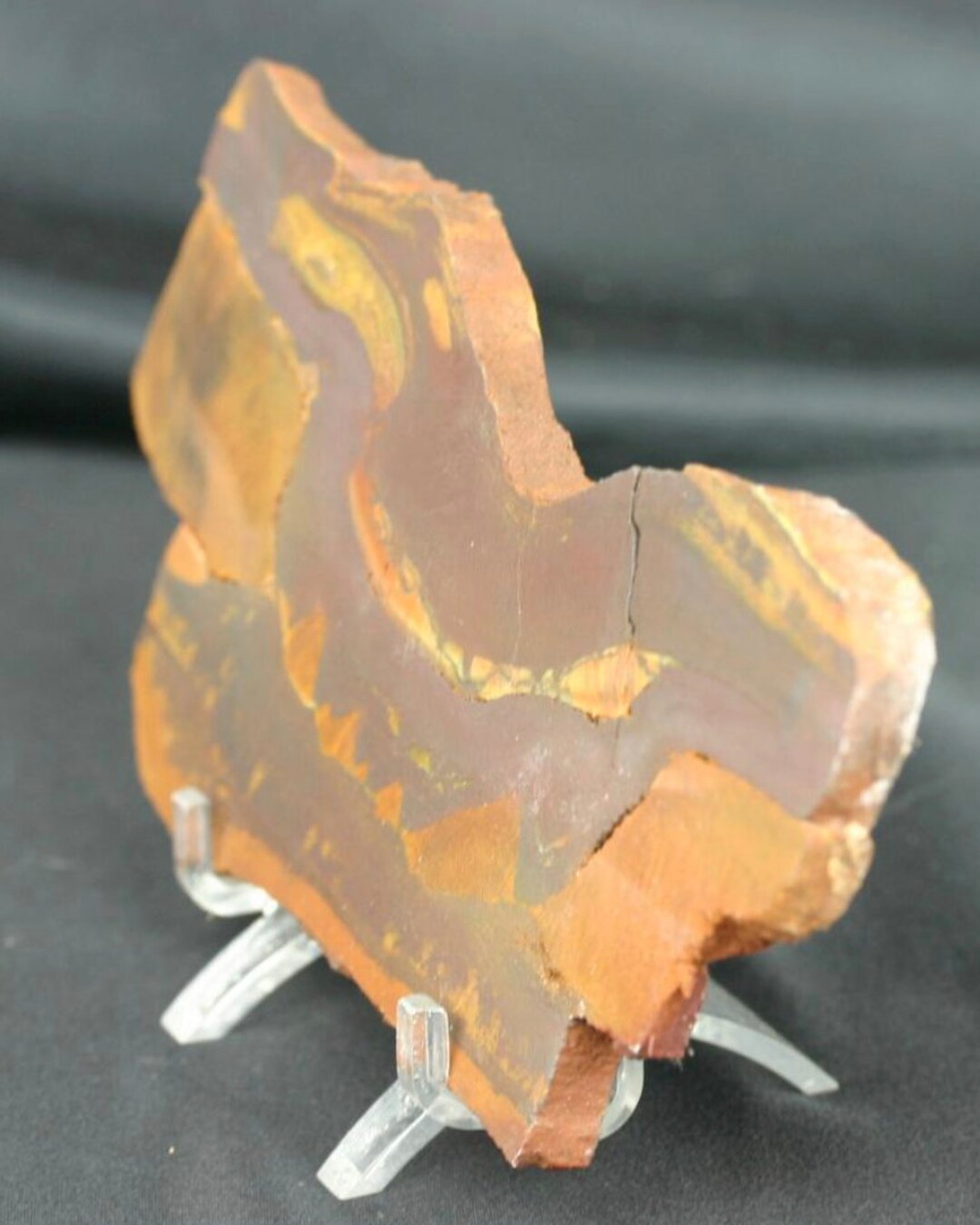 Tiger Iron Slab Cross Section About 7 Inch Fully Polished Polygon ...