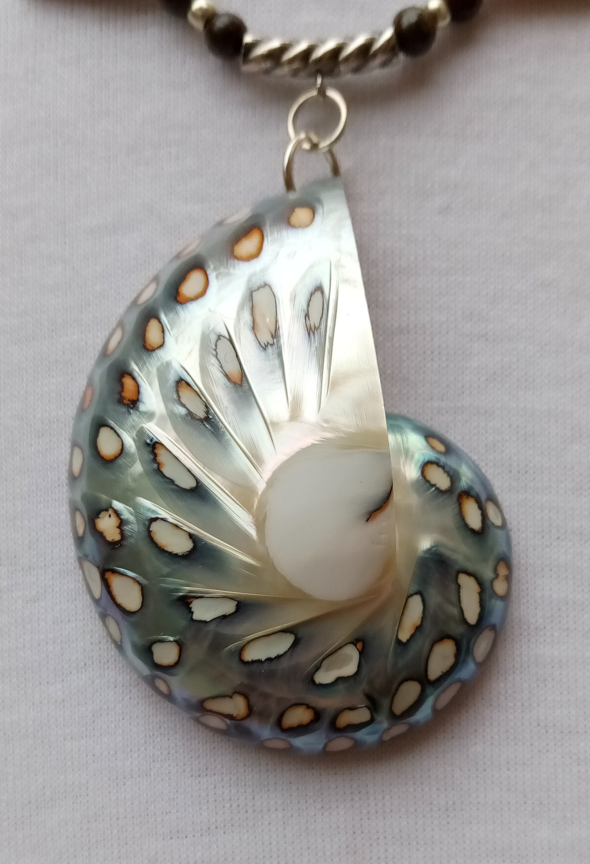 Nautilus Shell and Abalone Necklace - Etsy