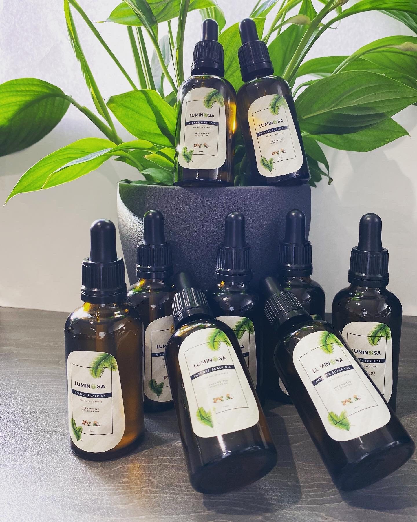 Chebe Infused Intense Scalp Oil - Etsy