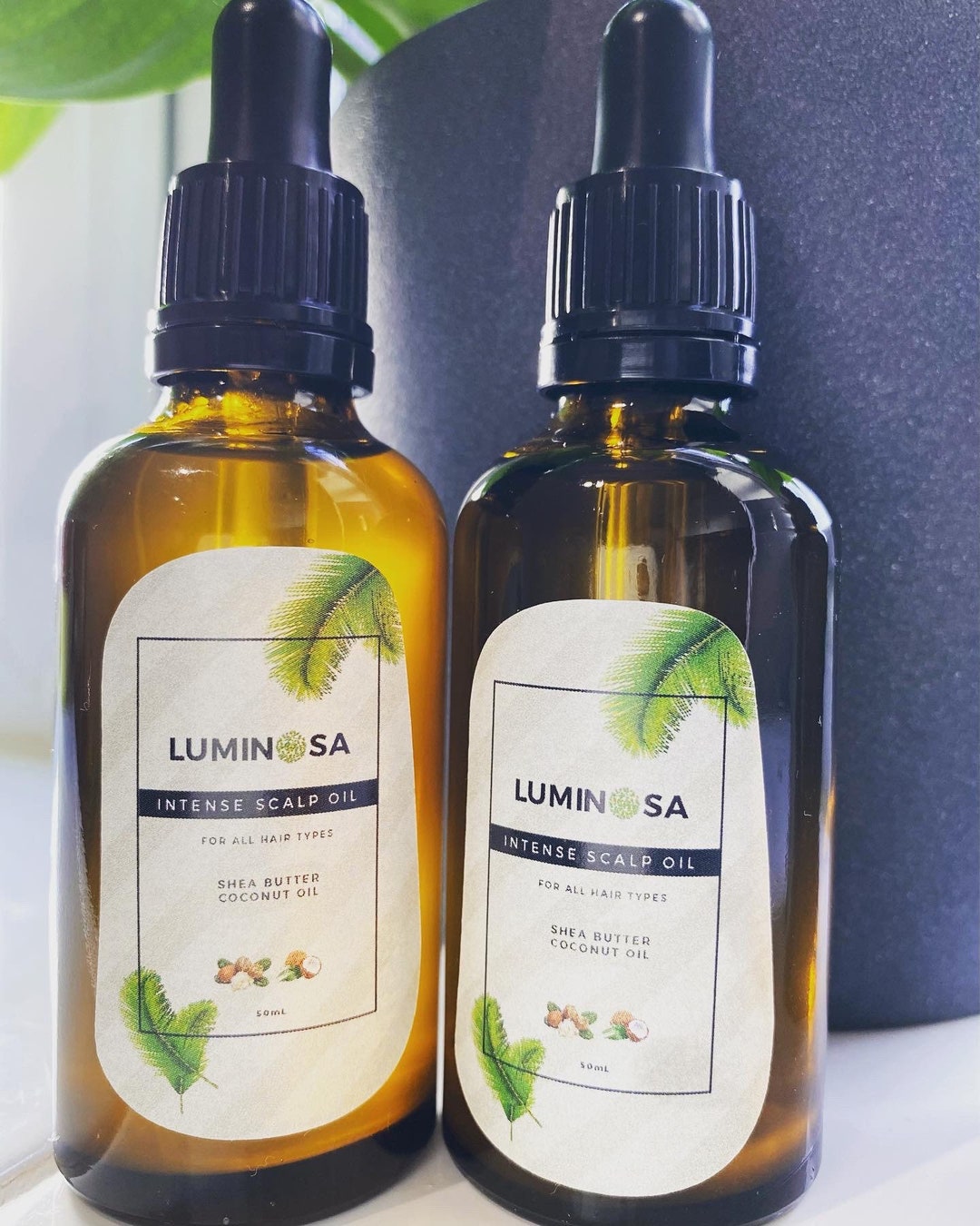 Chebe Infused Intense Scalp Oil - Etsy