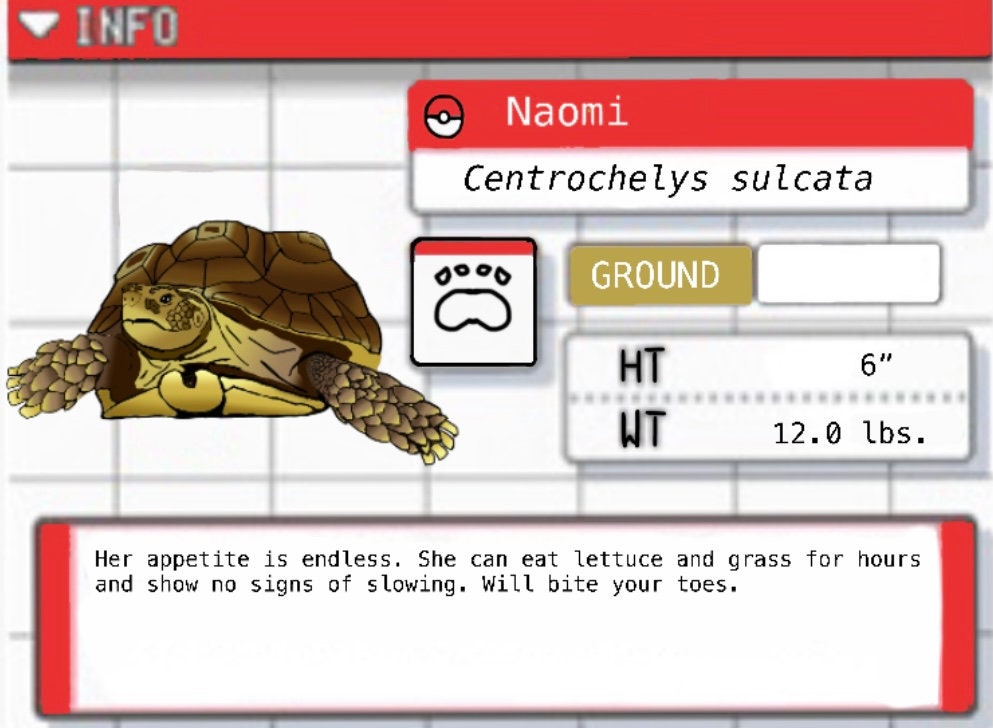 Custom Pokédex Entry Sticker - Etsy