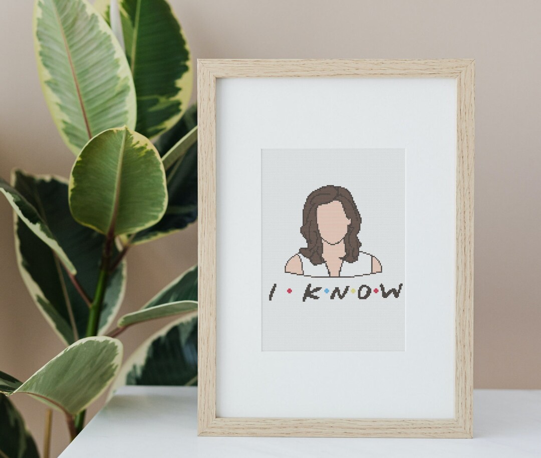 Friends Monica Geller - I Know Cross Stitch Pattern PDF (instant ...