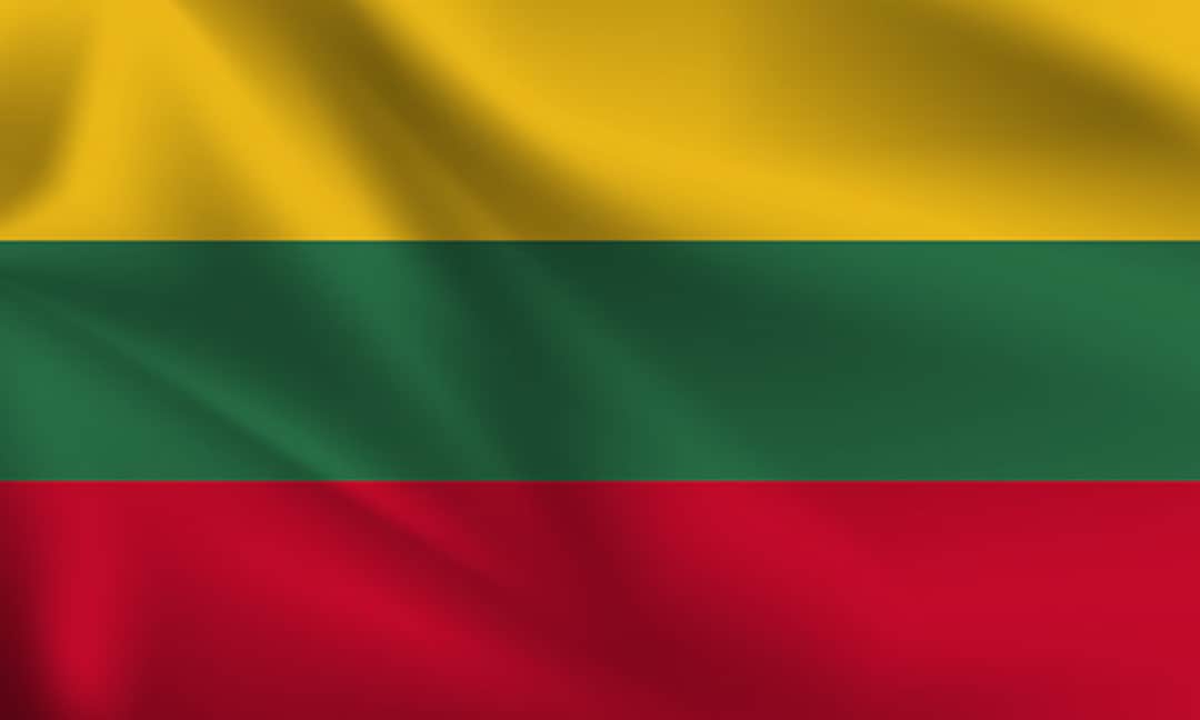 Flag Lithuania | Custom Made Personalized Flag | Individual Design ...