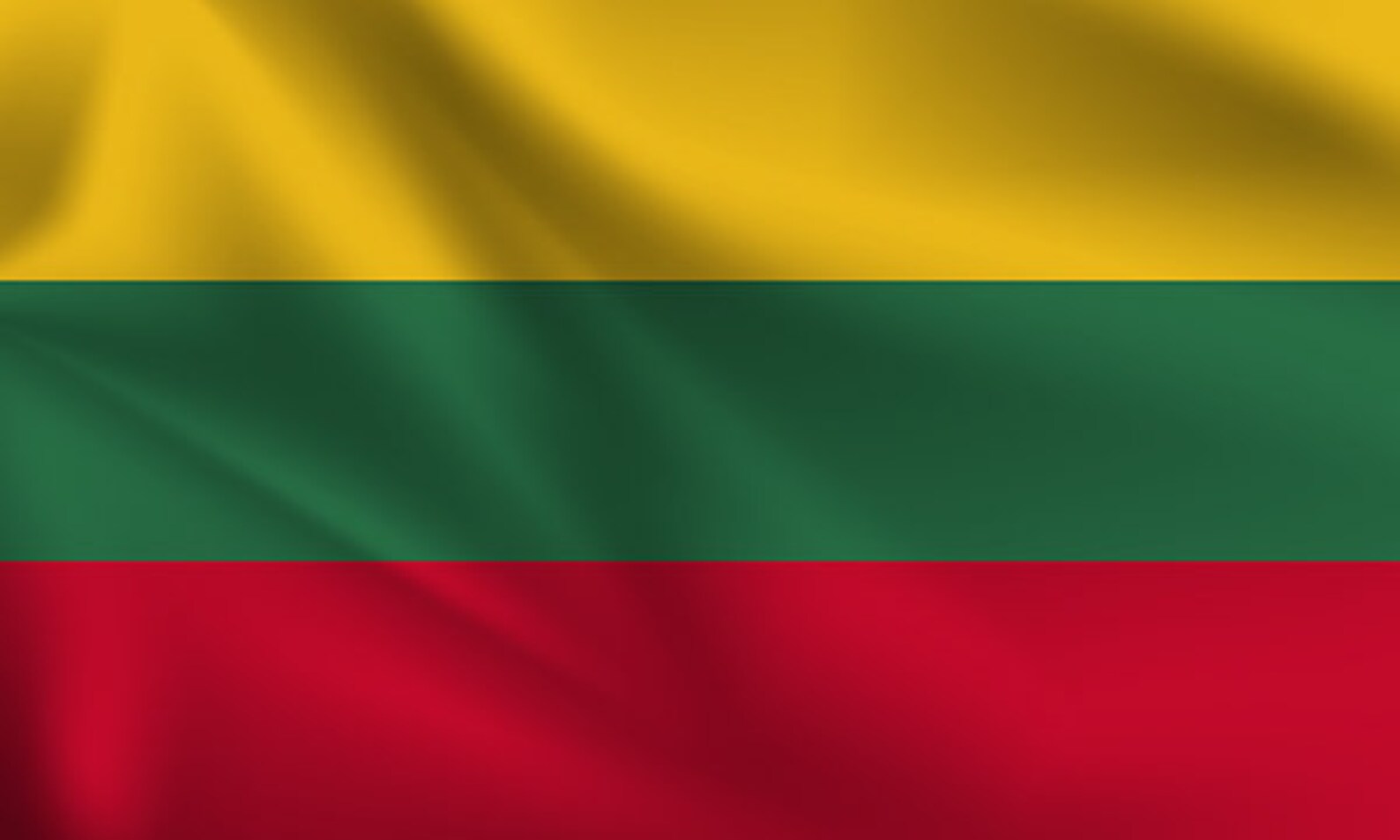Flag Lithuania | Custom Made Personalized Flag | Individual Design ...