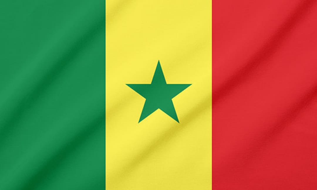 Flag Senegal | Custom Made Personalized Flag | Individual Design | High ...