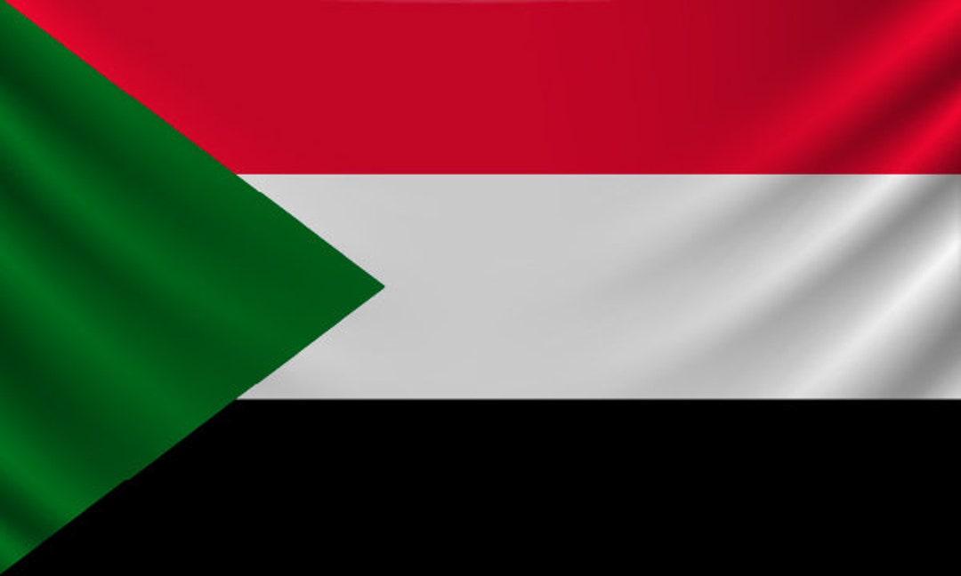 Flag Palestine Custom Made Personalized Flag Individual - Etsy