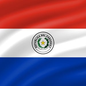 Flag Paraguay | Custom Made Personalized Flag | Individual Design ...