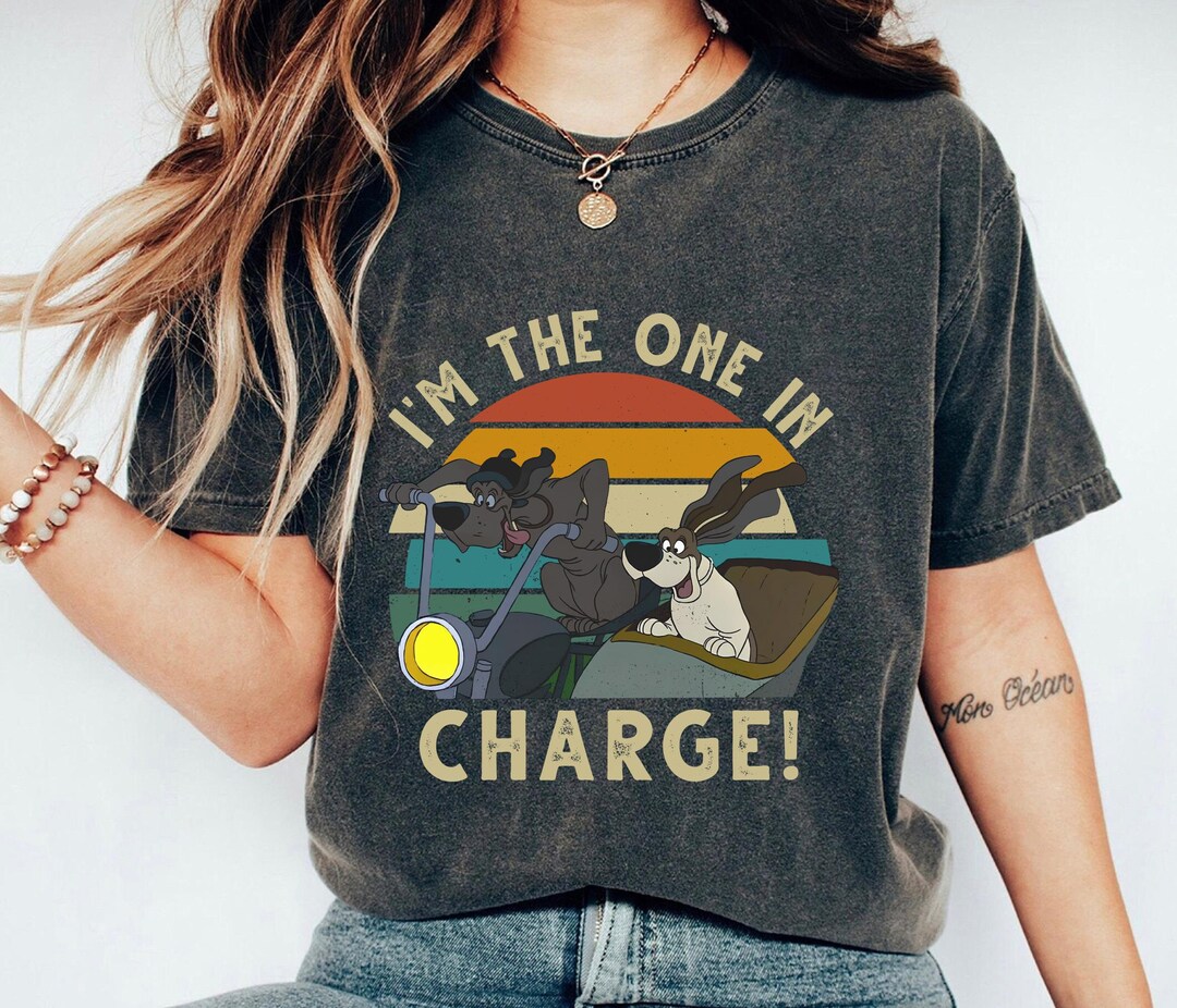 I'm the One in Charge Shirt, Napoleon and Lafayette T-shirt, the ...