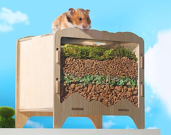 Hamster Digging Box - Etsy UK